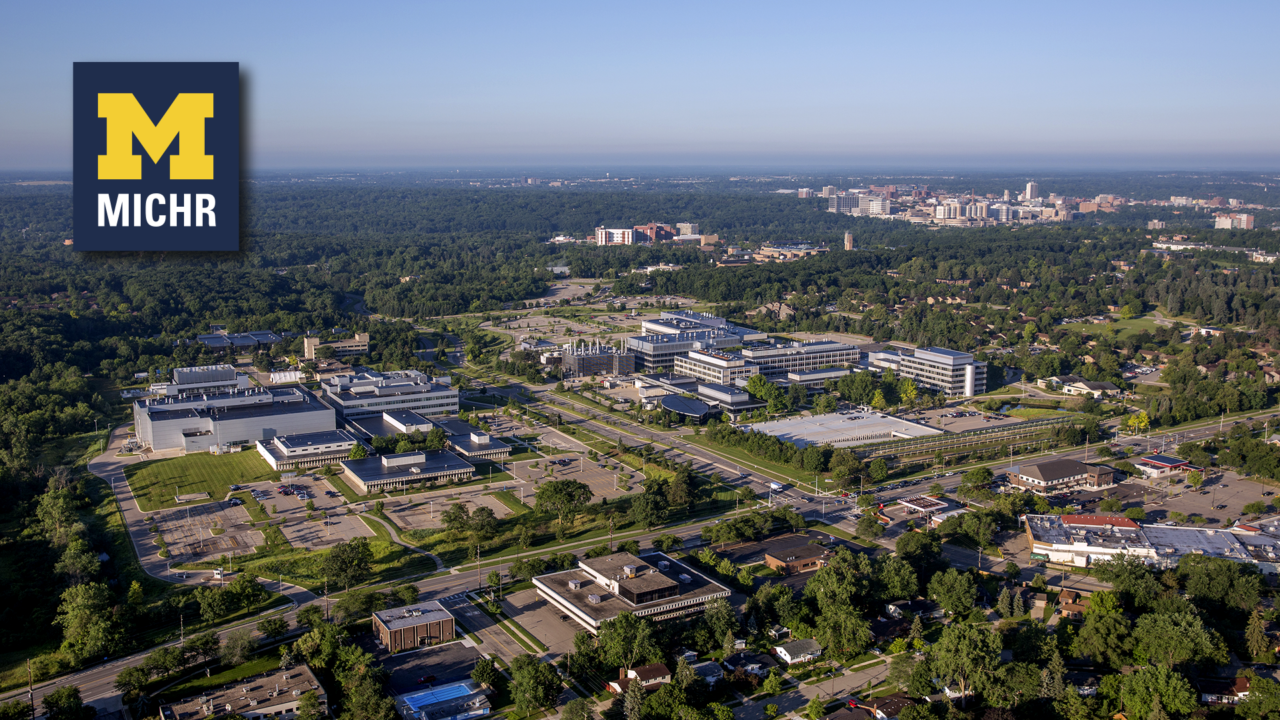 Zoom Background - Aerial - MICHR