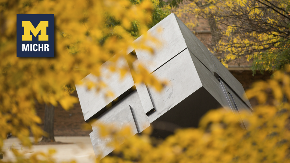 Zoom Background - The Cube - MICHR